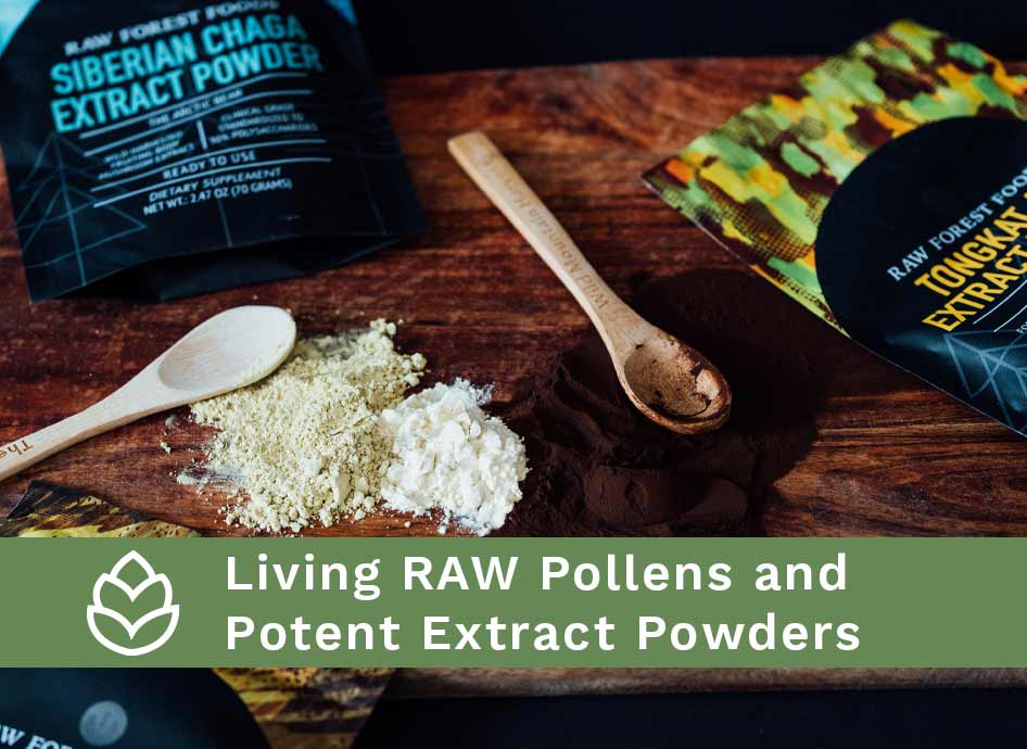 Pine Pollen Powder, Extracts, and Tinctures | RAW Forest Foods